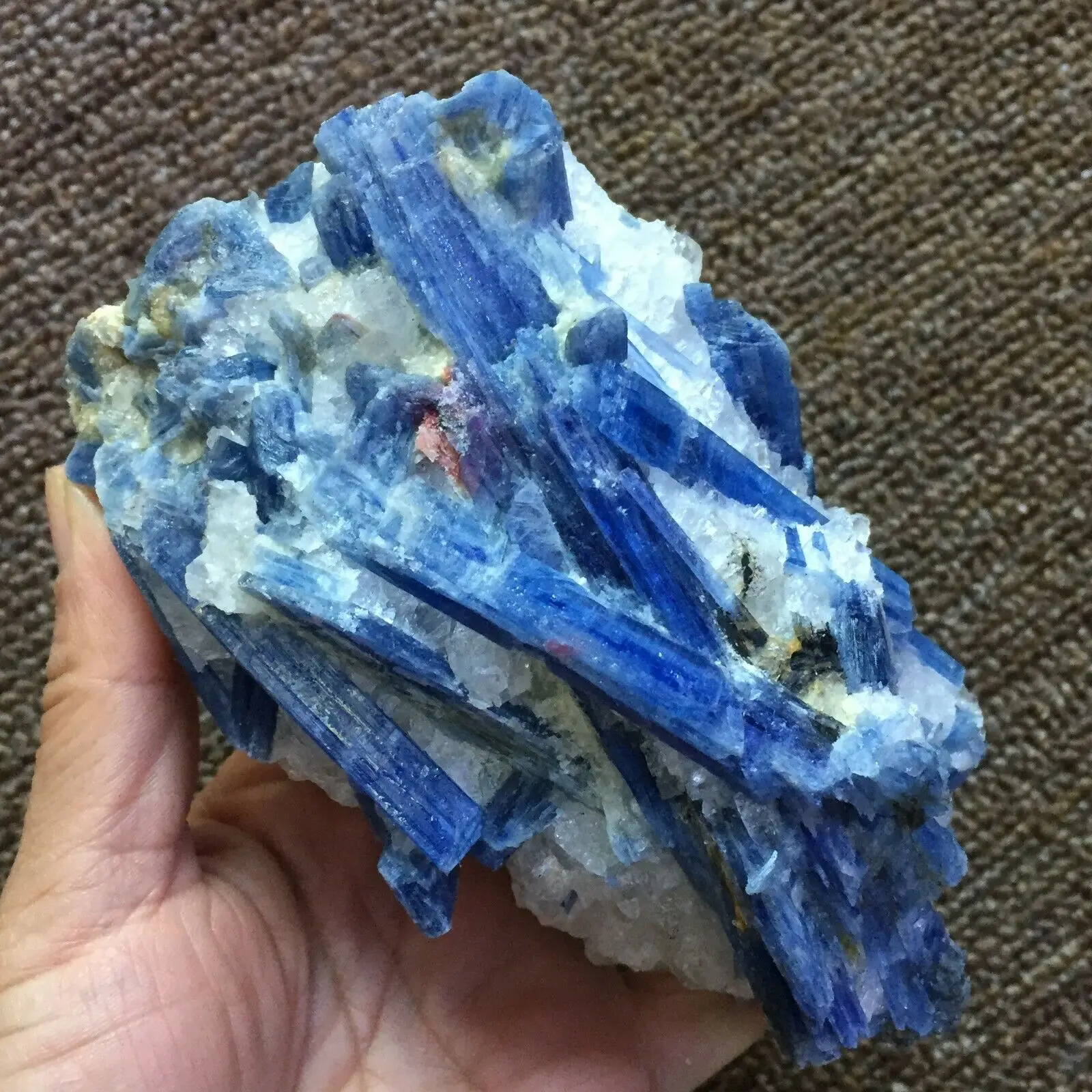 Rare-Blue-Crystal-Natural-Kyanite-Rough-Gem-stone-mineral-Specimen ...