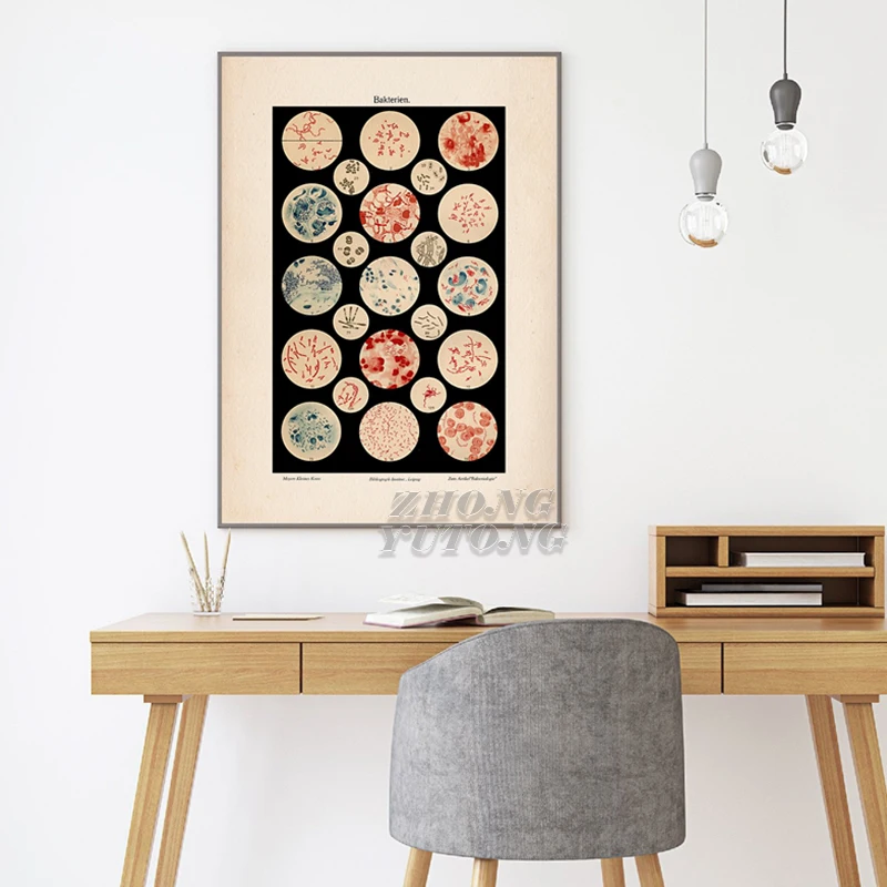 Microbiology Wall Art