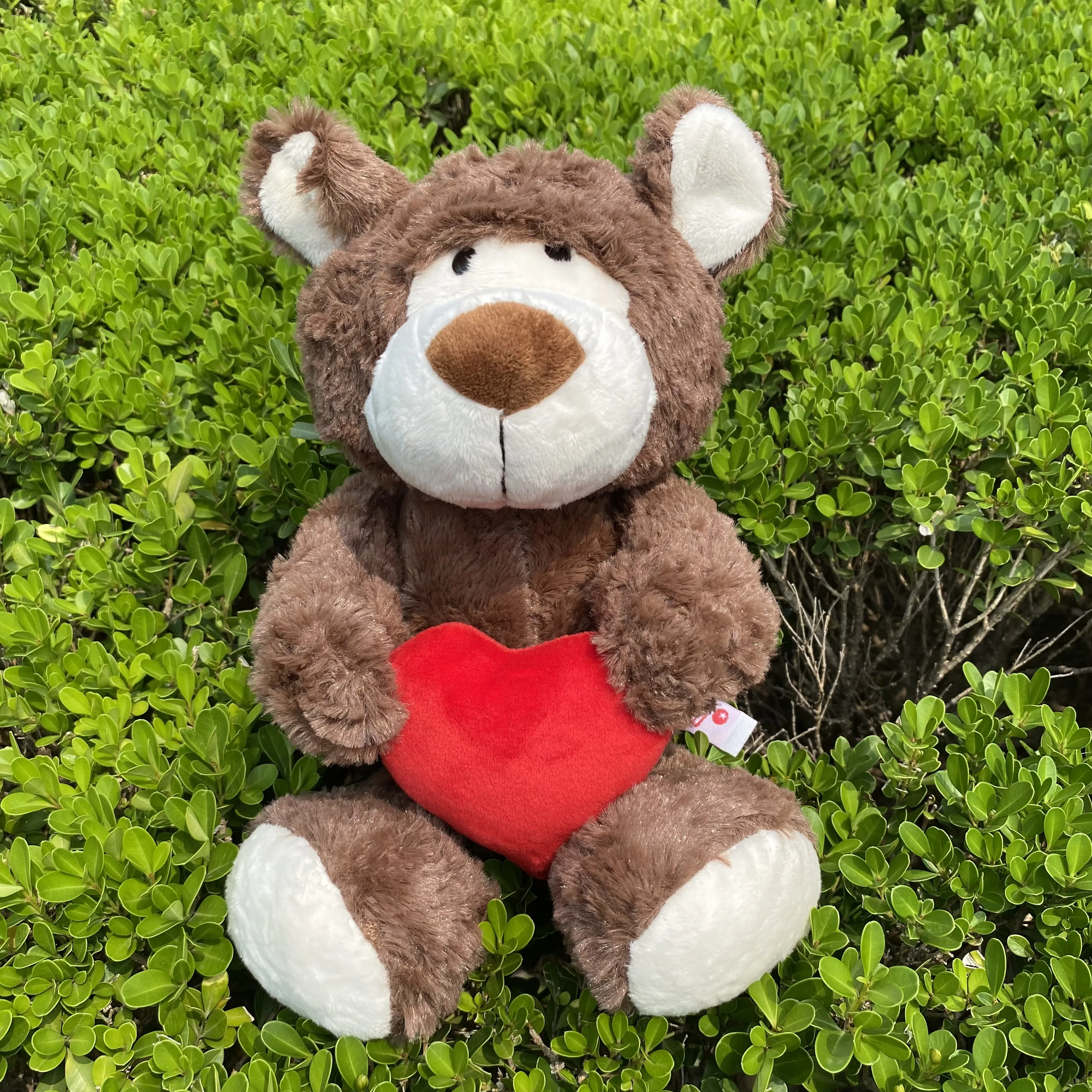 Teddy Bear Hugging A Heart