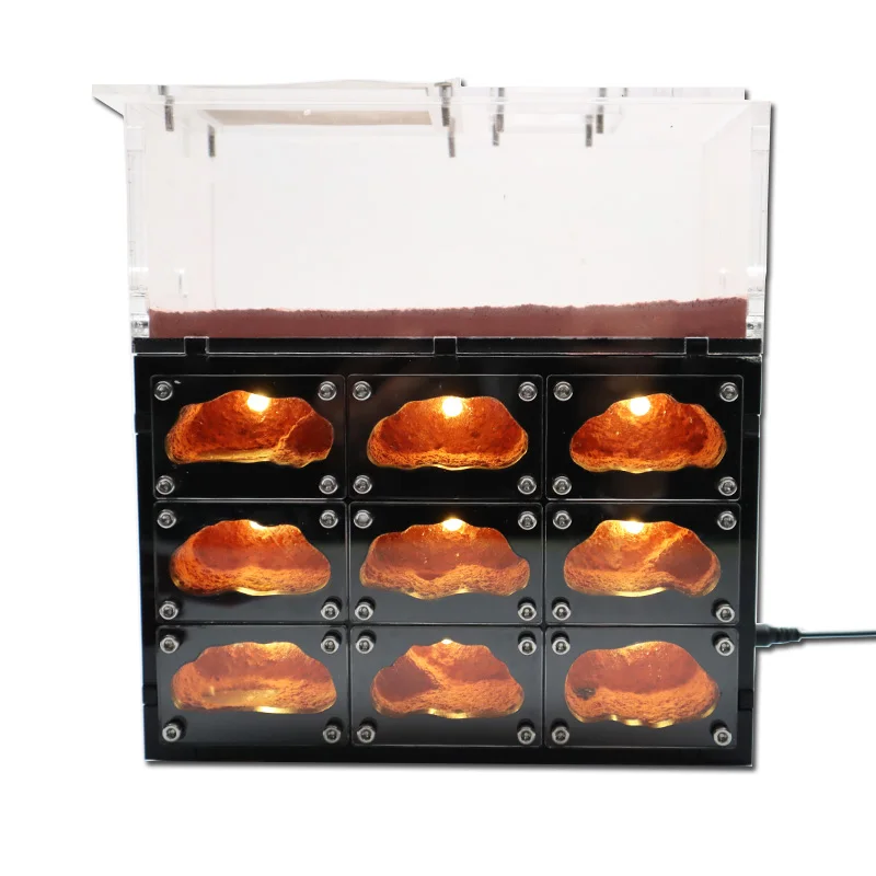 Ferme-fourmis-cologique-avec-clairage-ind-pendant-contr-le-des-fourmis ...