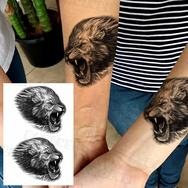 Black Mamba Snake Vs Lion