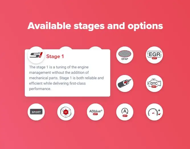 Stage 2 chip tuning - polreyourself