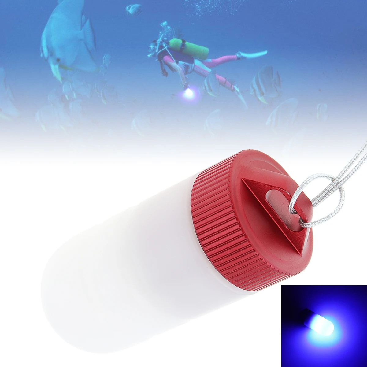 Underwater Beacon Signal Lamp | Underwater Signal Lantern | Scuba ...