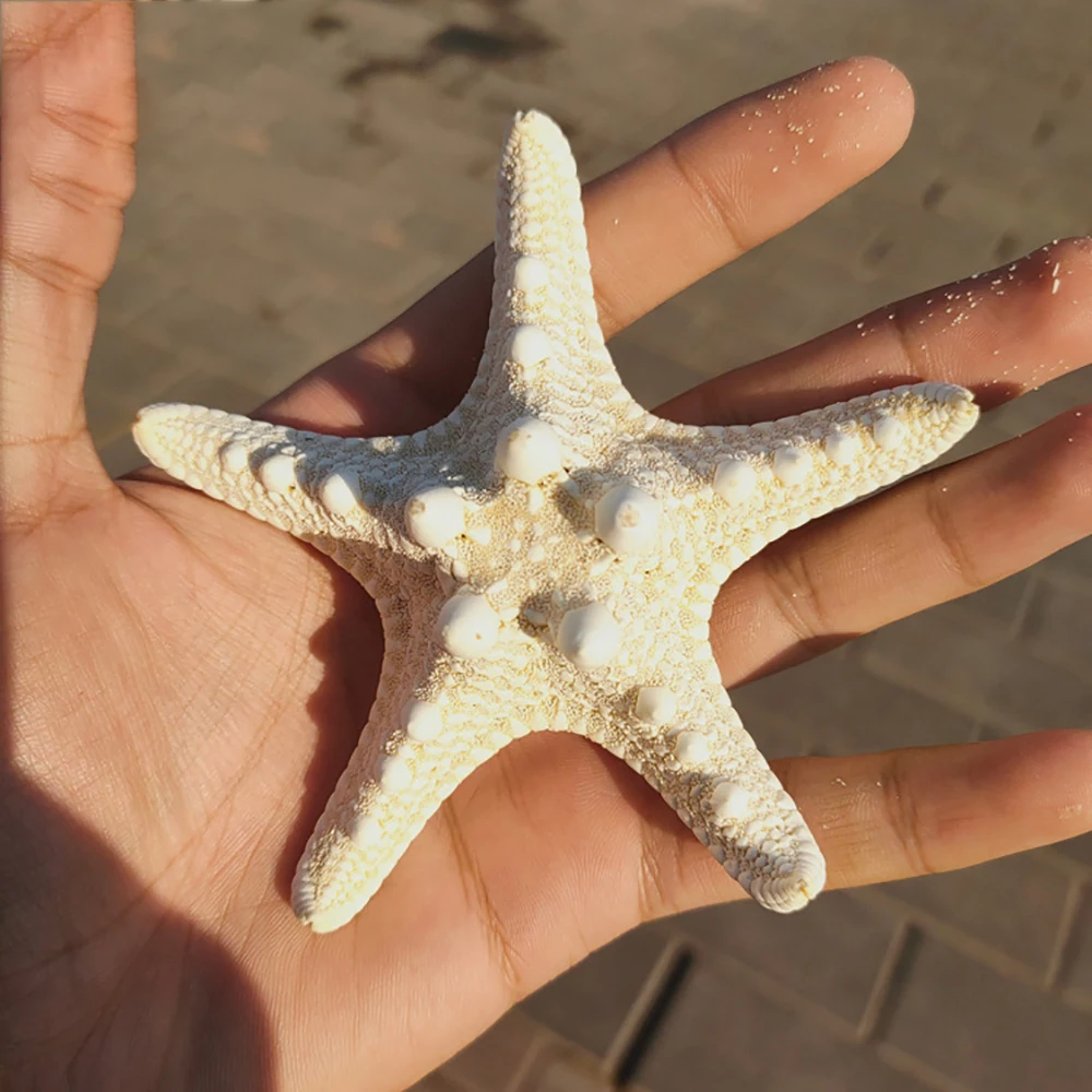 White Starfish Sea Stars 3 Mini Knobby Starfish Craft Supplies & Tools ...