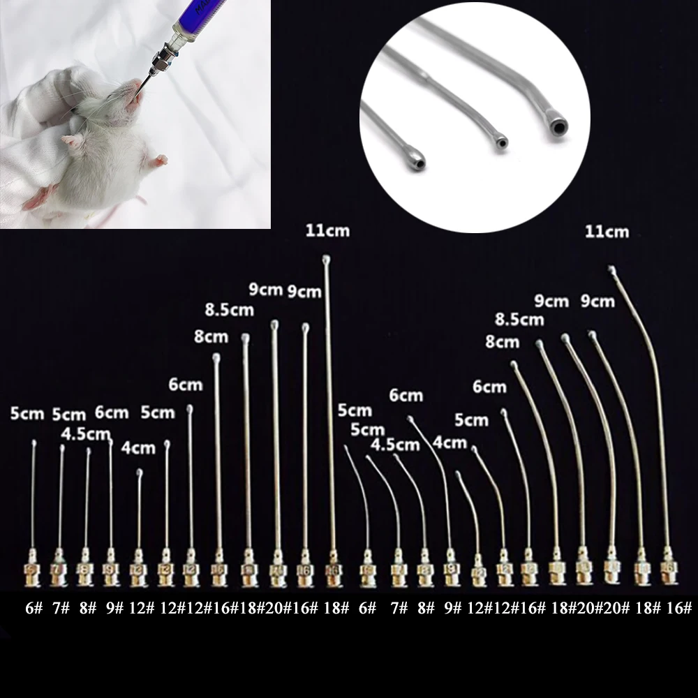 Stainless Steel Gavage Gastric Applicator | Stainless Steel Dosing ...