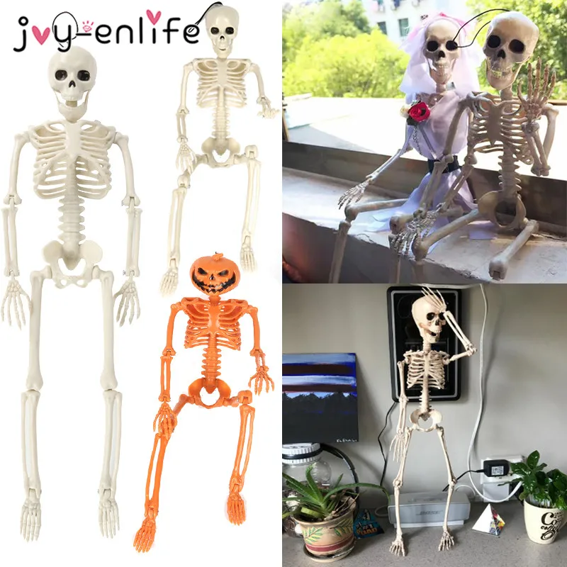 40cm Halloween Fake Skeleton Full Body Movable Skull Skeleton Hanging ...