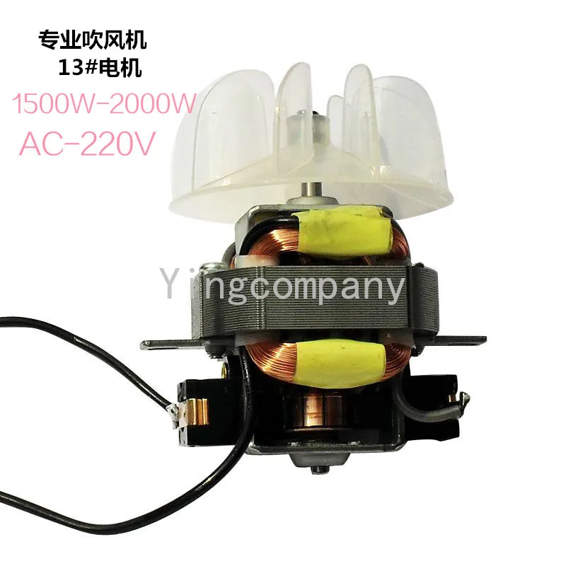 High-power Hair Dryer Motor Hair Dryer Ac Motor With Fan Blade 13 ...