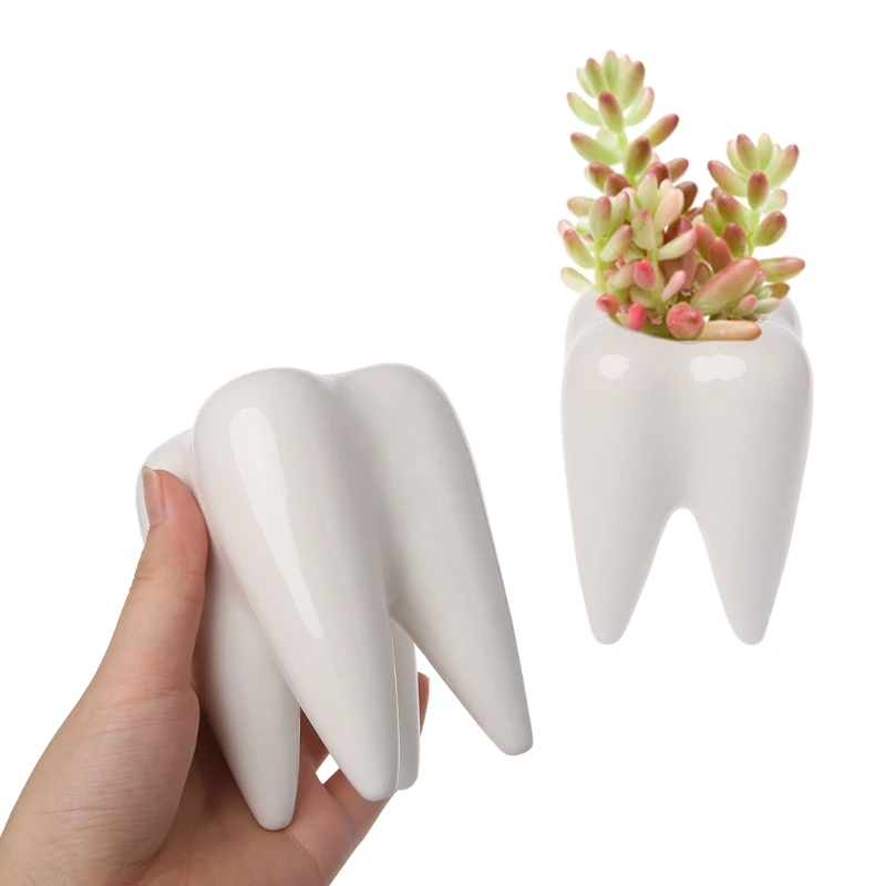 2024-New-Tooth-Shape-Ceramic-Flower-Pot-Green-Succulent-Planter-Cactus ...
