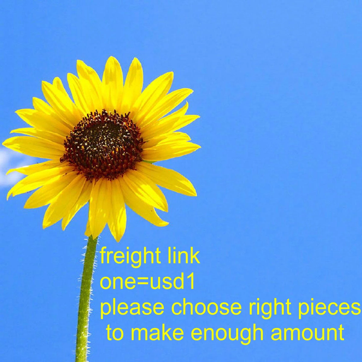 this link is for extra freight especially need for some order , or ...