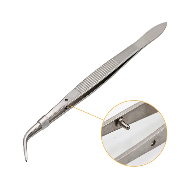 3pcs Stainless Steel Dental Tweezers Surgical Serrated Curved Tweezer ...