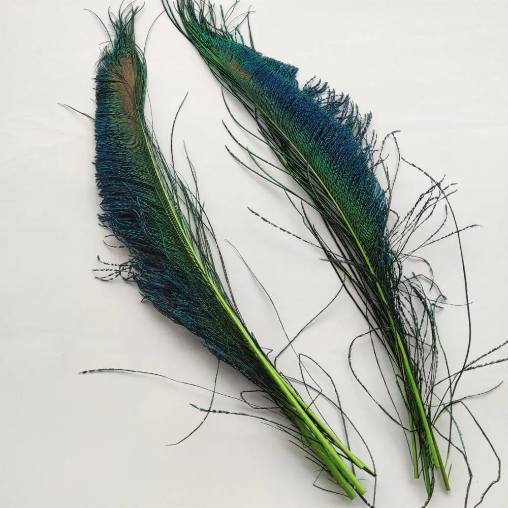 Espada de pluma de pavo real verde, simétrica izquierda y derecha ...