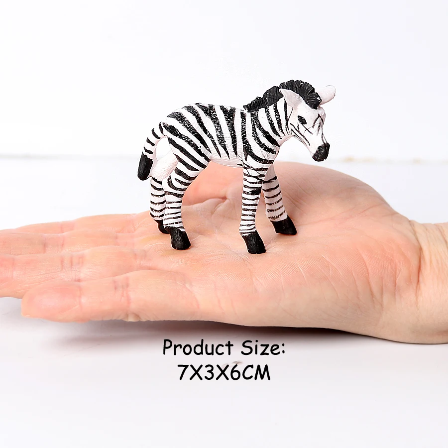 Miniature Zebra