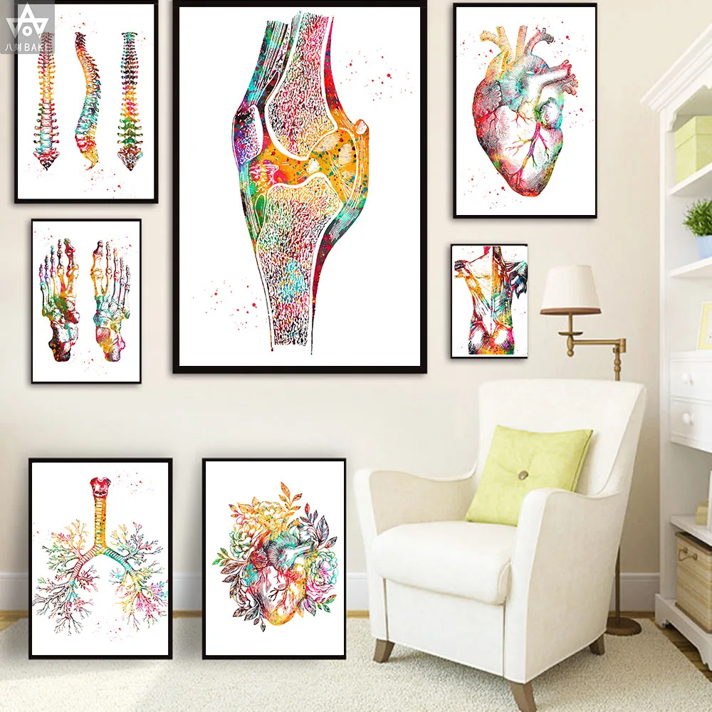 Human Anatomy Muscles System Wall Art Canvas Painting Posters And ...
