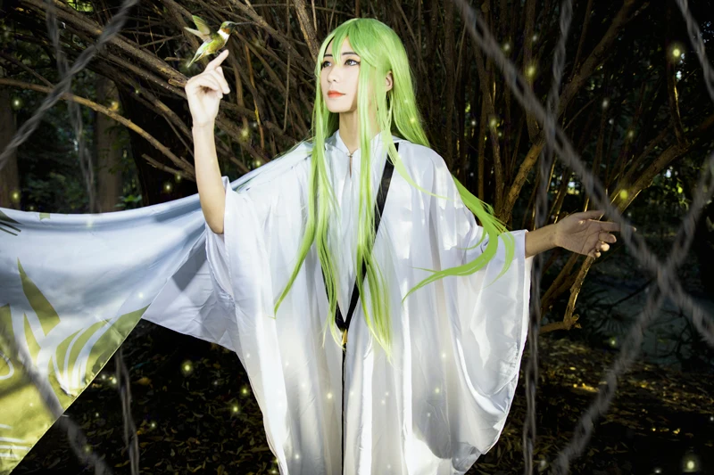 Games Fate Grand Order Anime Lancer Enkidu Cosplay Costume - AllCosplay.com