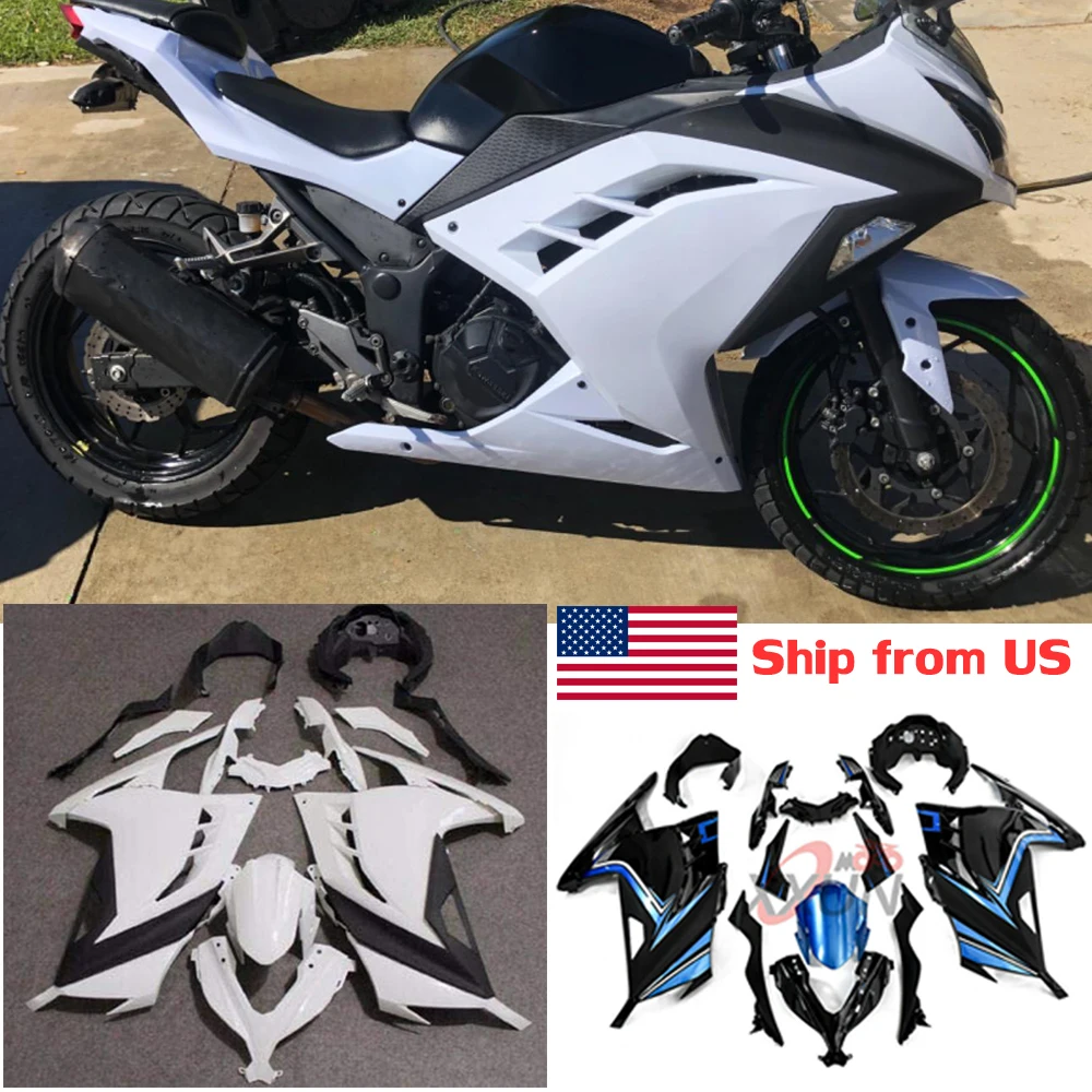 Kawasaki Ninja 300 Custom