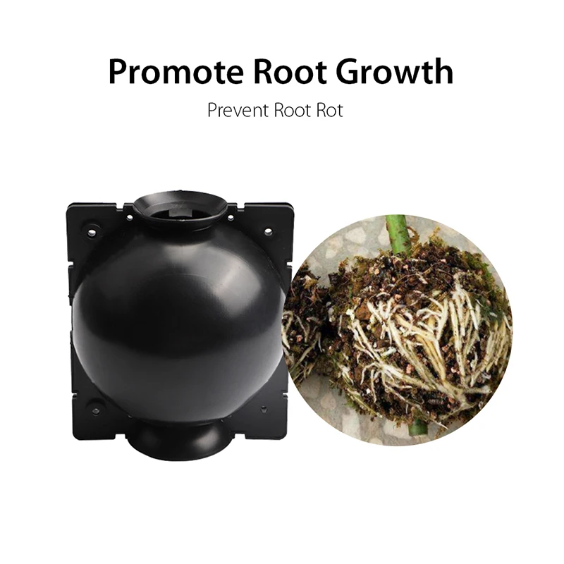5pcs/10pcs Plant Rooting Ball Garden Plant Root Growing Box Grafting ...