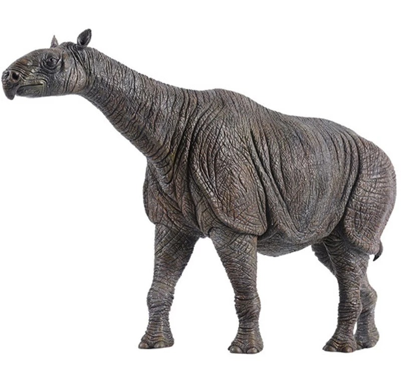 Paraceratherium Size