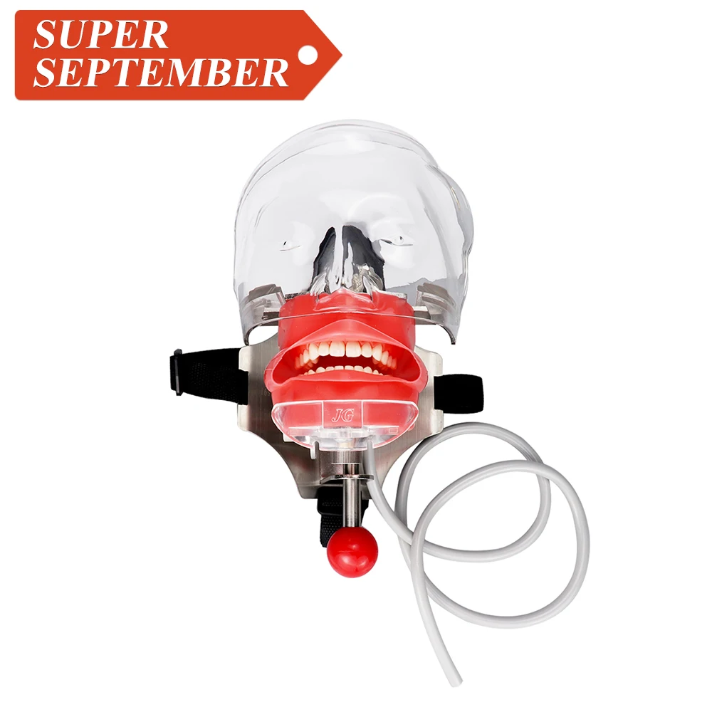 Simple Head Model Dental Simulator Phantom Head For Dentist Education ...
