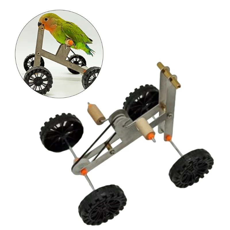 Parrot-Intelligence-Metal-Four-wheeled-Vehicle-Bird-Bicycle-Training ...