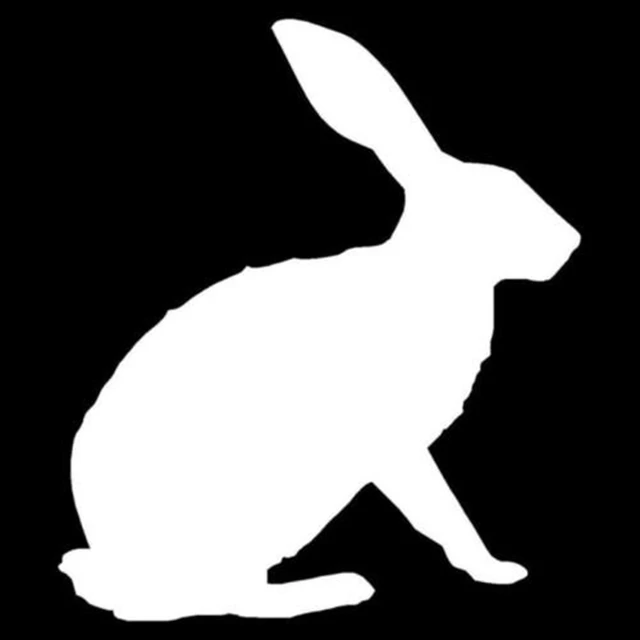 Jack Rabbit Silhouette
