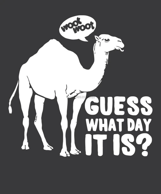 Camel Woot Woot