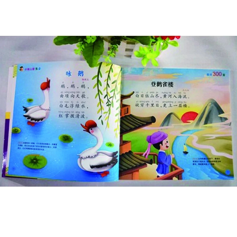 Maths Chinese Book Character PinYin Mandarin comics Idiom Poetry ...