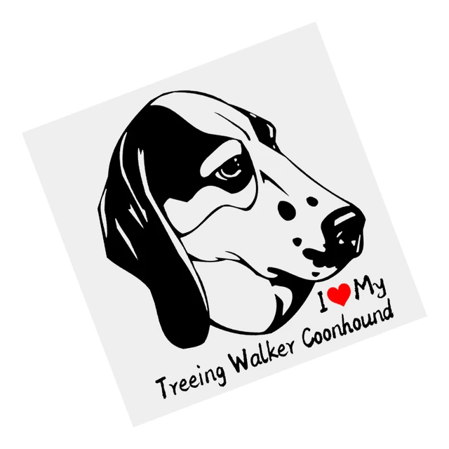 Black Treeing Walker Coonhound