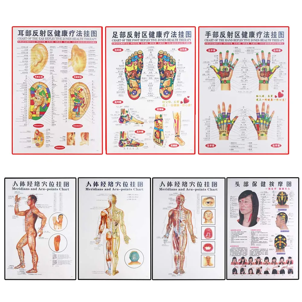 7pcs/set Acupuncture Massage Point Map Chinese&english Meridian ...