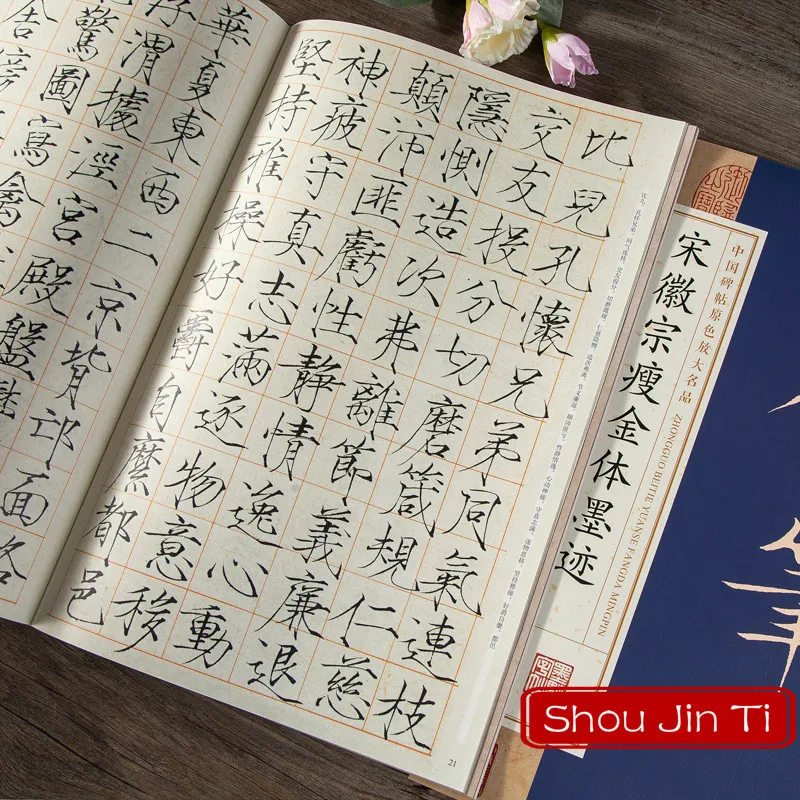 Chinese Calligraphy Books Chinese Shou Jin Ti Brush Pen Copybook ...