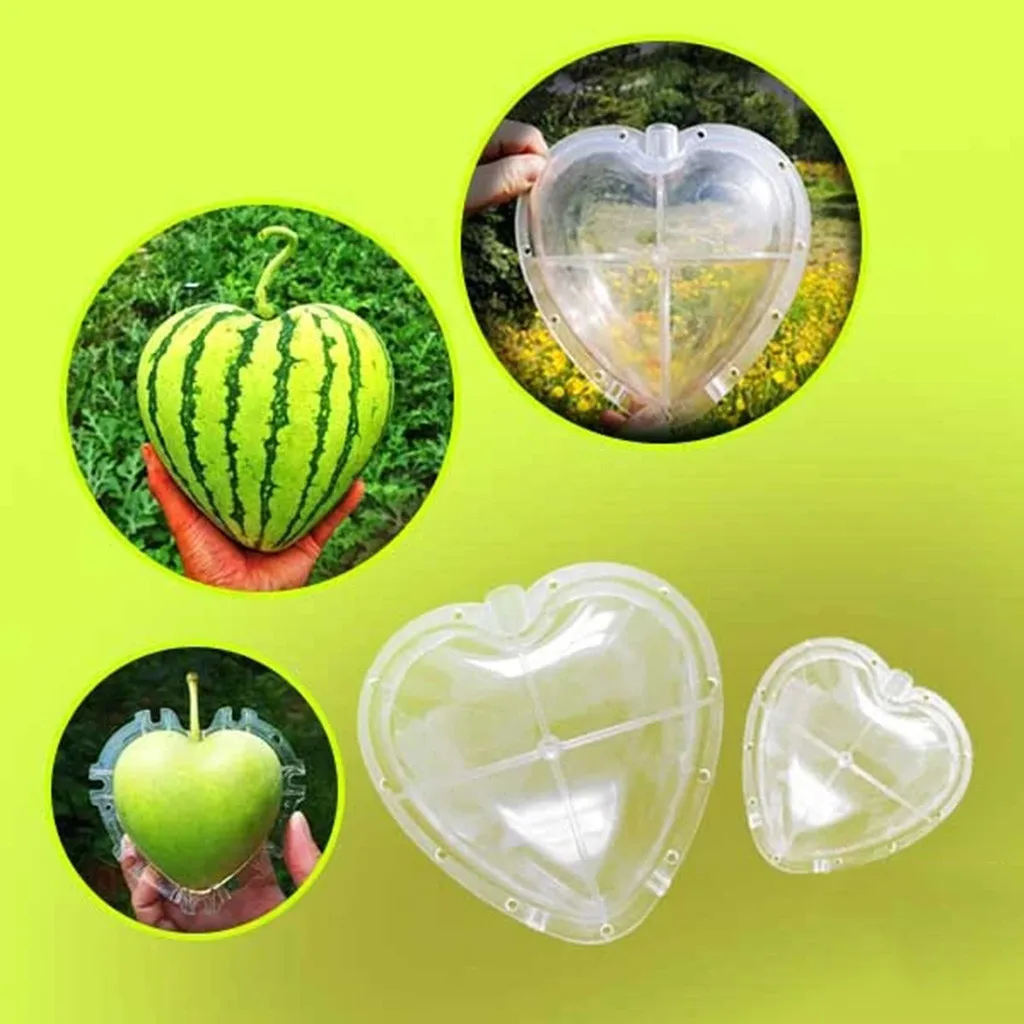 DIY-Large-Size-Plastic-Square-Heart-Shape-Watermelon-Shaping-Mold-Clear ...