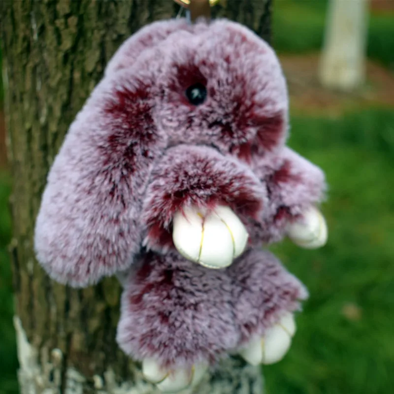 Store Home Products ChoiceDay Feedback