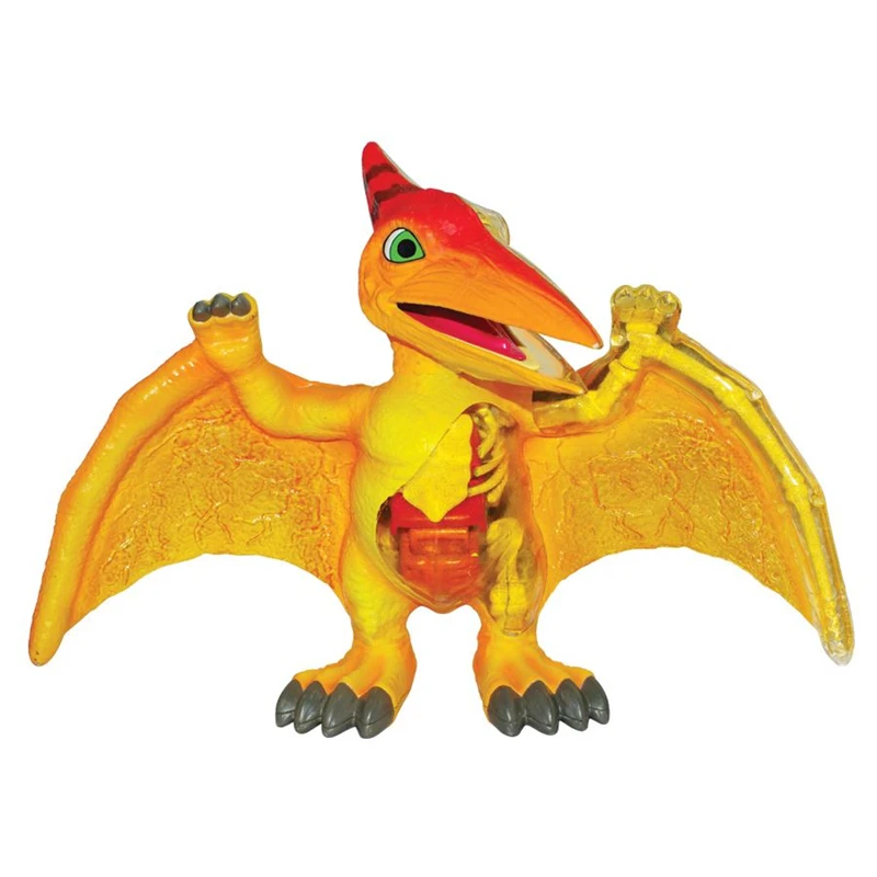 Pterodactyl Anatomy
