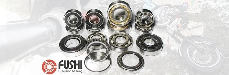 Powersports Bearings Rear Wheel SKF Bearing Repair Kit For KTM ...