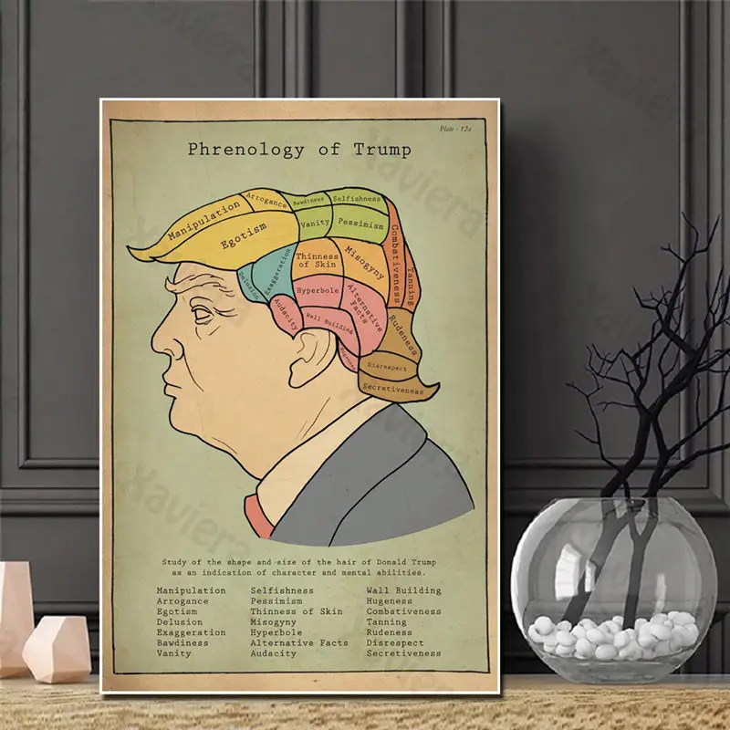 Trump-Art-Poster-Of-Phrenology-Cartoon-American-President-Color-Brain ...