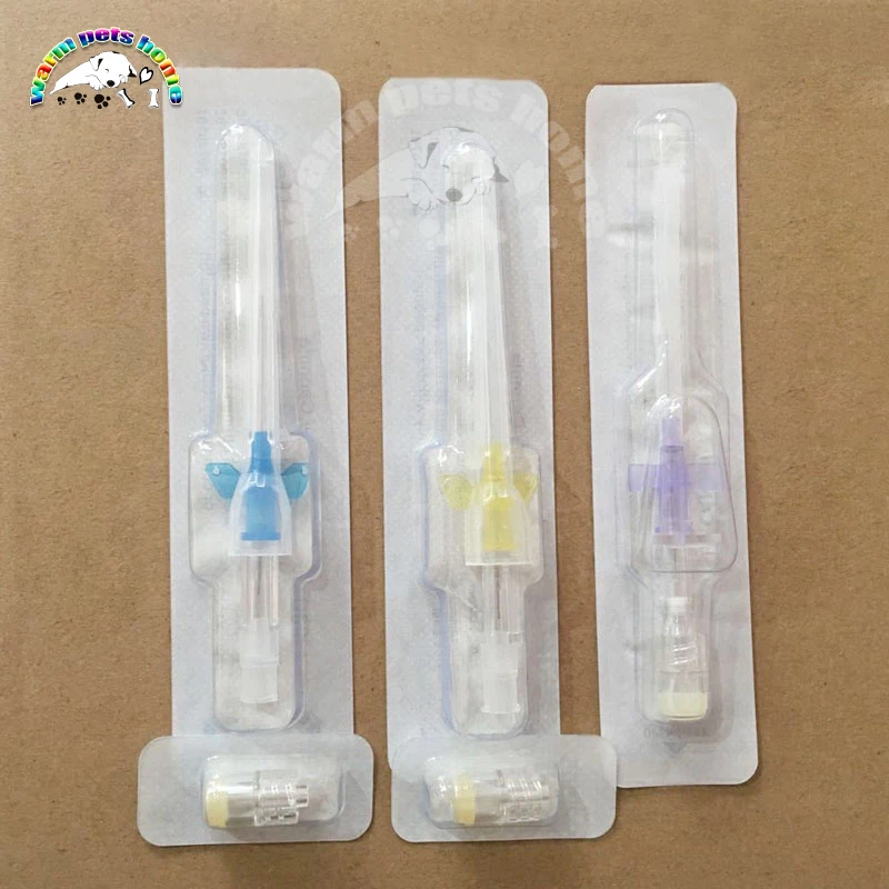Disposable Dog Cat Cannula Animal Catheter Pet Catheters, 52% OFF