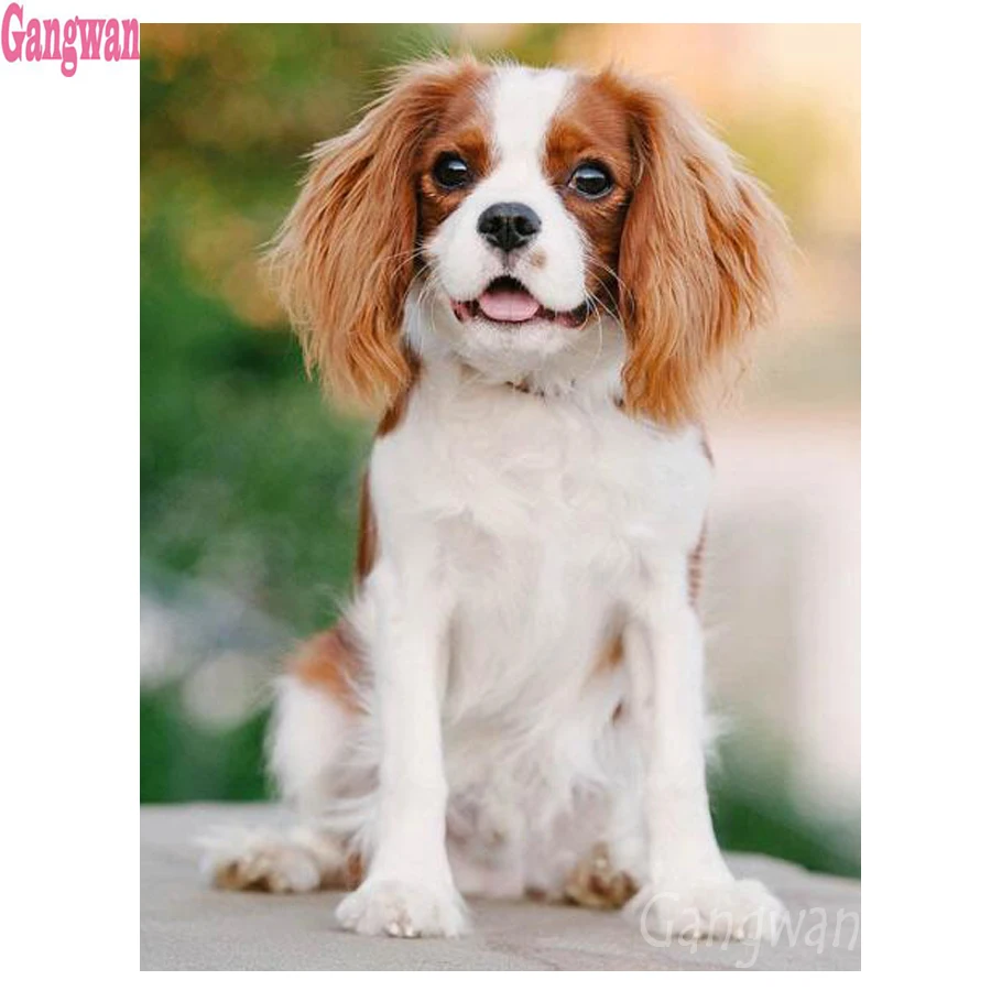 5D rhinestone diamond painting diy diamond embroidery Cavalier King ...