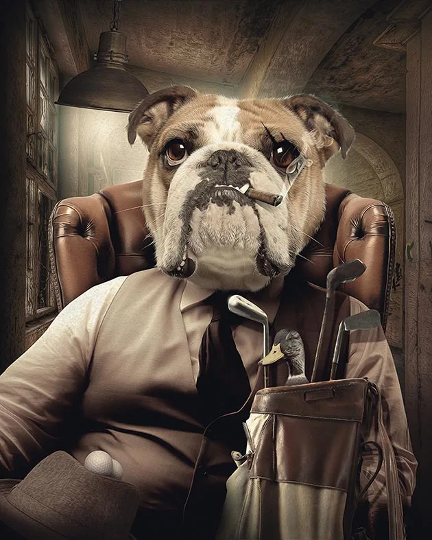 Bulldog Smoking Cigar