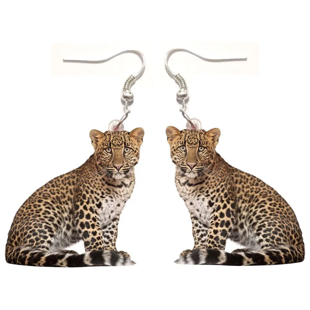 1 Pair Cheetah Acrylic Leopard Earrings Womens Earrings Jewelry Gifts ...