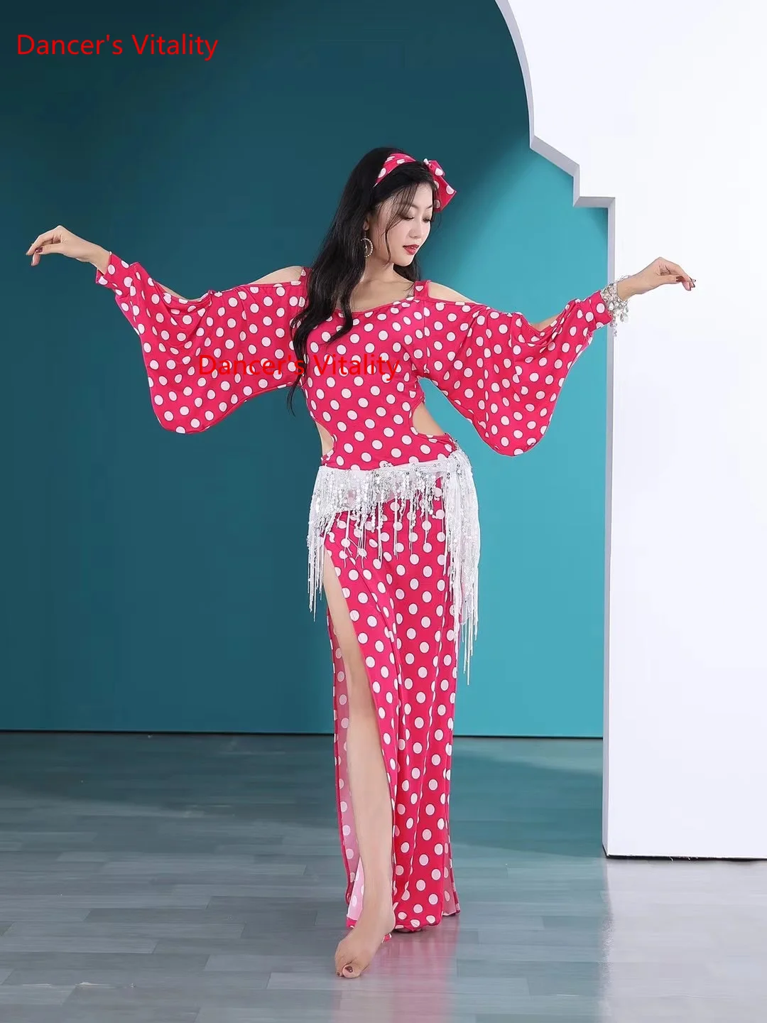 Belly Dance Costume Female Baladi Dot Robe Folk Clothing Long Skirt ...