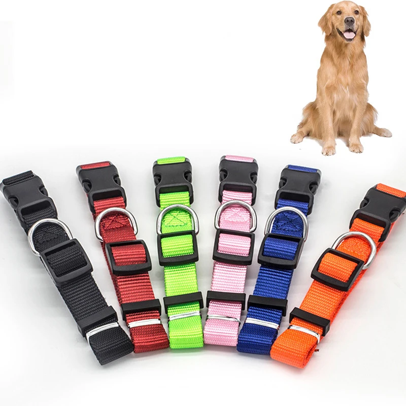 Dog Accessories Harness Collar | Products Dog Collars Harnesses - Color ...