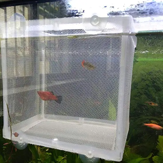 Fish Tank Aquarium Breeding Box Net Hatchery Fry Trap Float Breeder Box ...