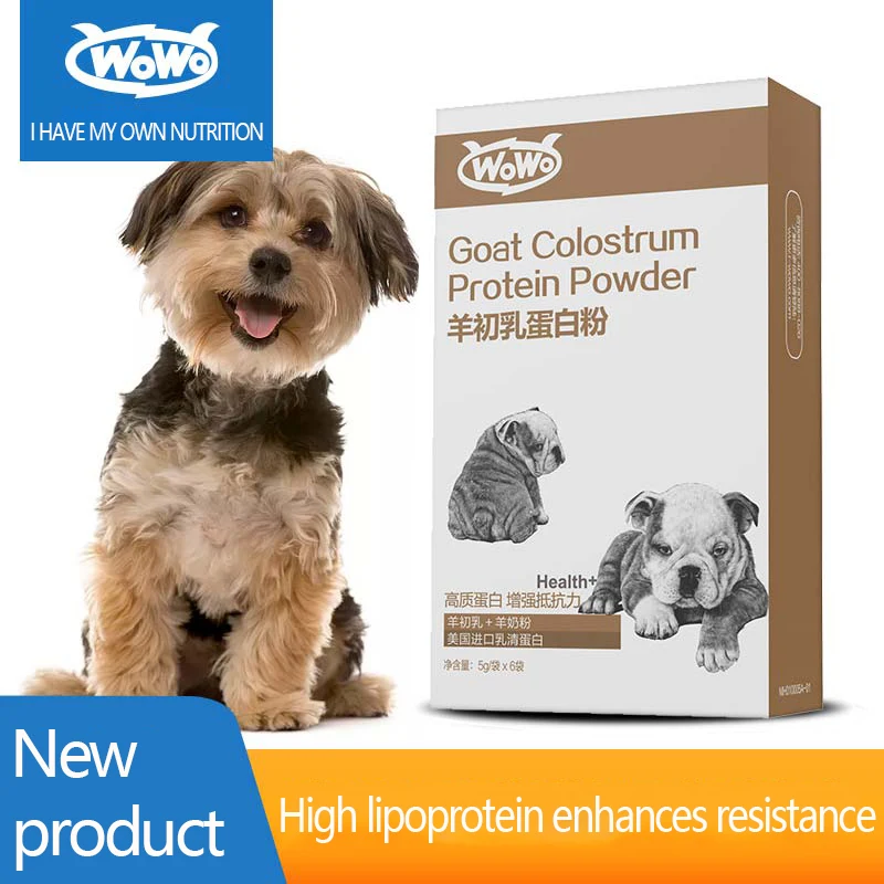 Can I Give My Dog Protein Powder