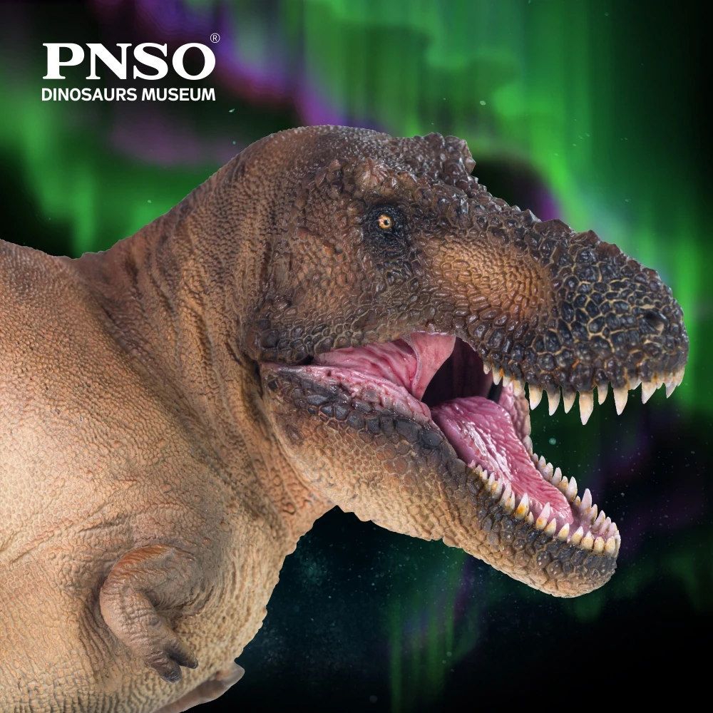 PNSO-Dinosaur-Museums-Series-Andrea-The-Tyrannosaurus-REX-1-35 ...