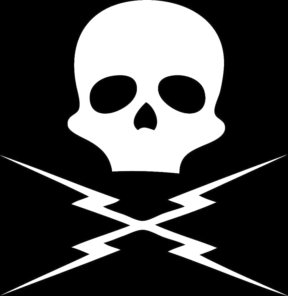 Death Proof Car Skull