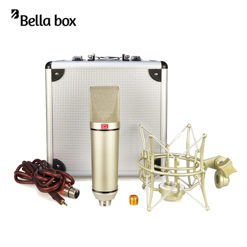 Recording-Microphone-Large-Condenser-Microphone-Professional-Microphone ...