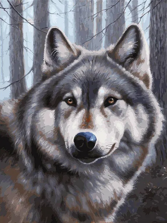 Painting-by-numbers-Wolf-30x40-Snow-White-3090-cs-picture-coloring ...