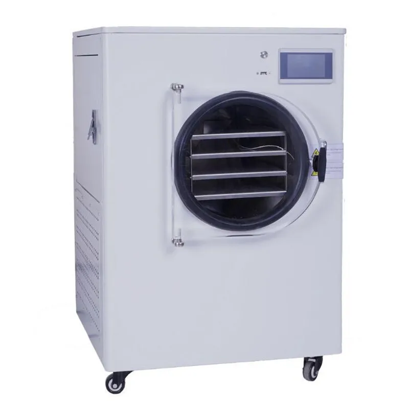 How Much Do Freeze Drying Machines Cost