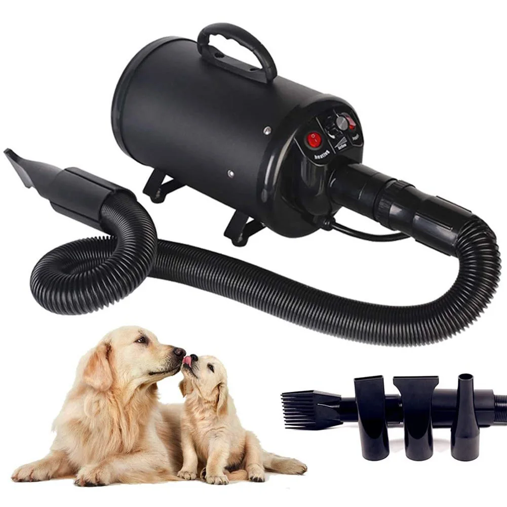 Secador de pelo portátil para perros y gatos, soplador eléctrico de ...