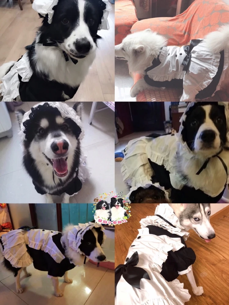 Cute and Funny Maid Outfit For Dogs – DogMega.Com