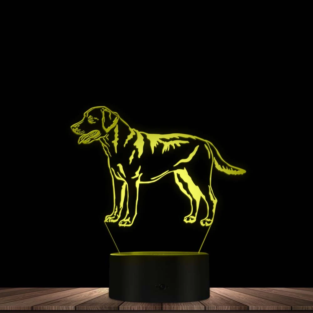 Do Puppies Need Night Lights